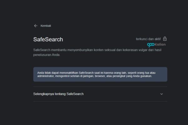 Mengapa Logo SafeSearch Tetap Terkunci? Simak Penyebab Dan Cara ...